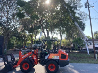 Southern Tree Services LLC | Tree Services | Inverness, FL