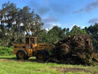 Southern Tree Services LLC | Tree Services | Inverness, FL